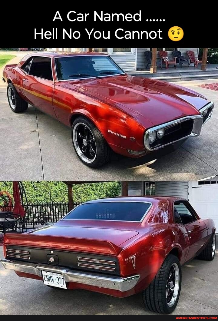 A Car Named Hell No You Cannot al - America’s best pics and videos