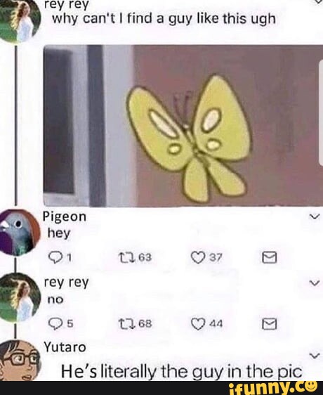 Rey rey why can't I find a guy like this ugh Pigeon hey rey rey v no Os ...