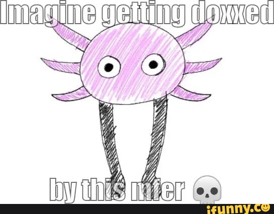 Kinitopet memes. Best Collection of funny Kinitopet pictures on iFunny