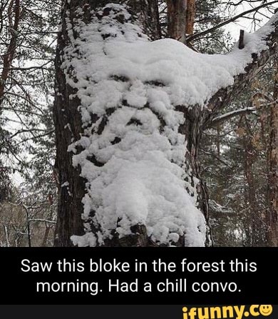 Forest memes. Best Collection of funny Forest pictures on iFunny
