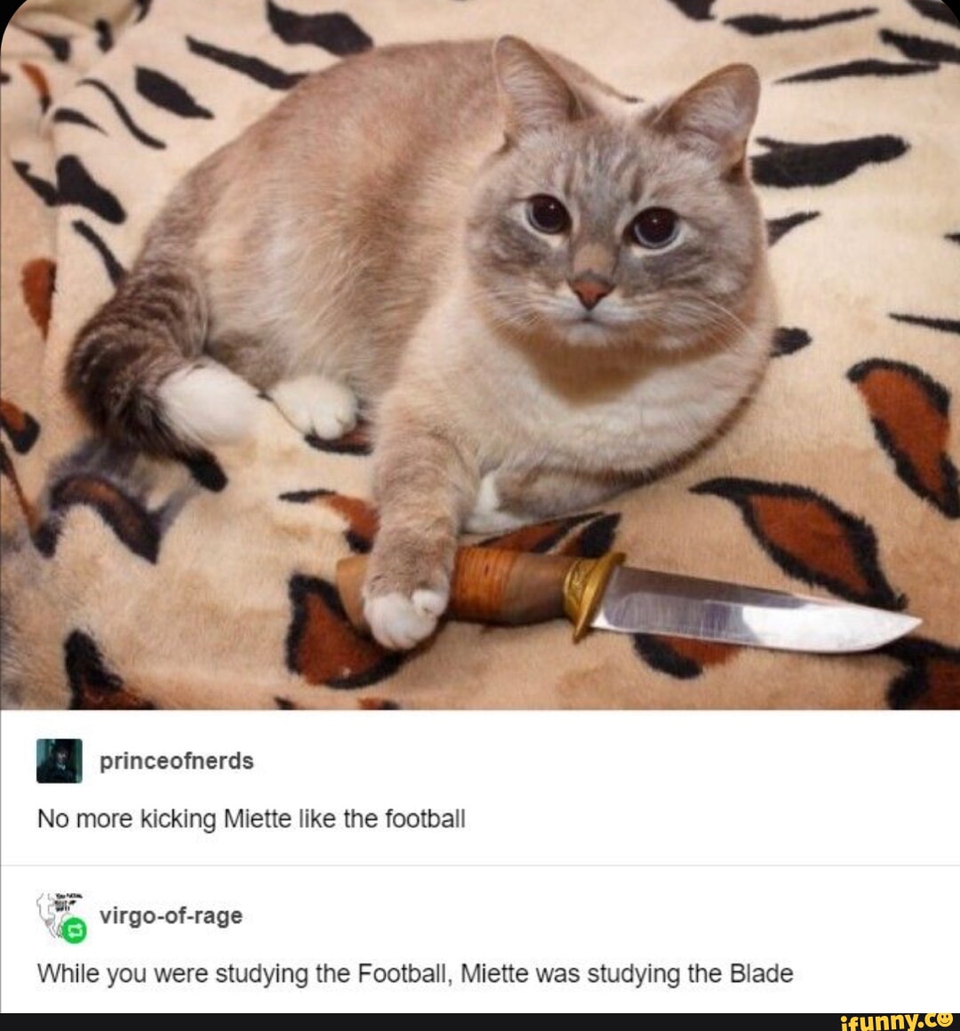 Princeofnerds No more kicking Miette like the football virgo-of-rage ...