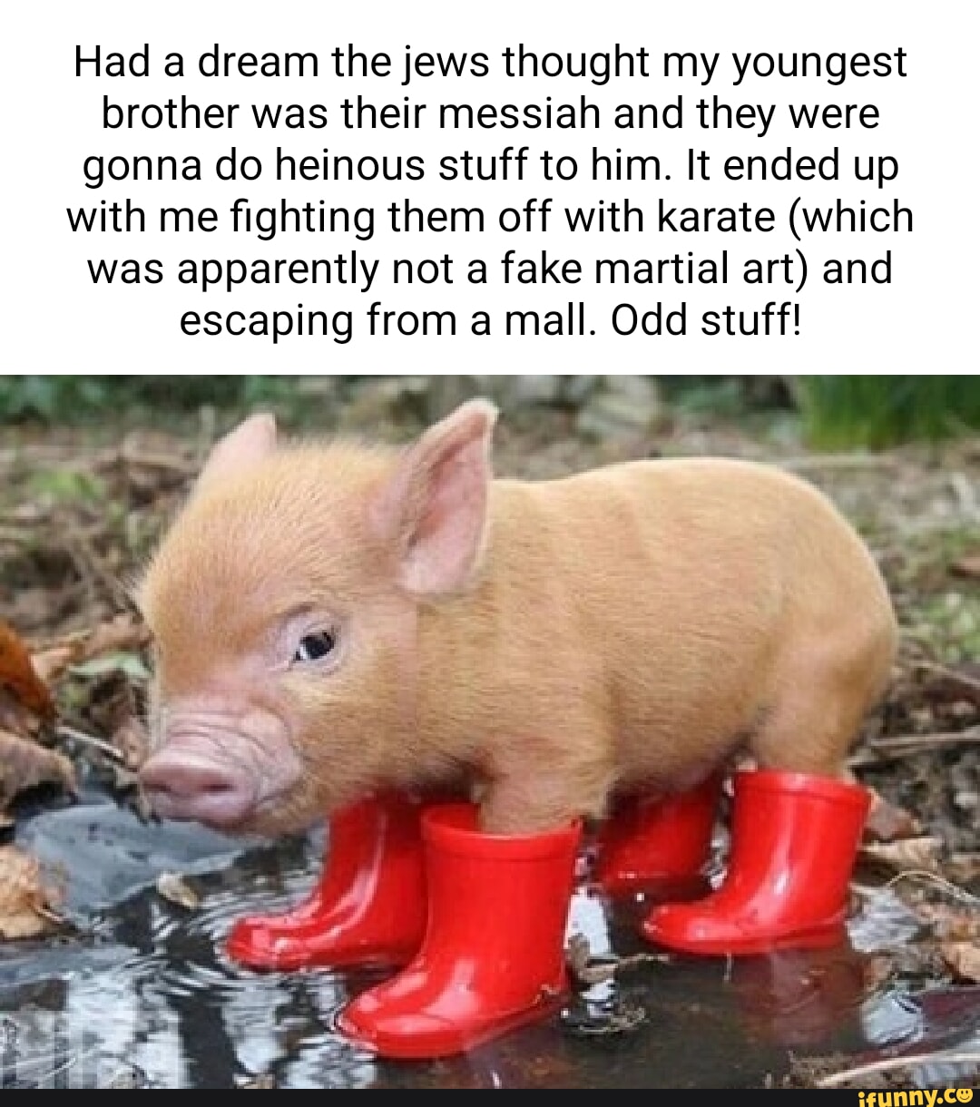 Heinous memes. Best Collection of funny Heinous pictures on iFunny