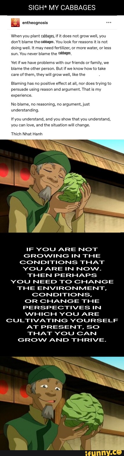 Cabbages memes. Best Collection of funny Cabbages pictures on iFunny