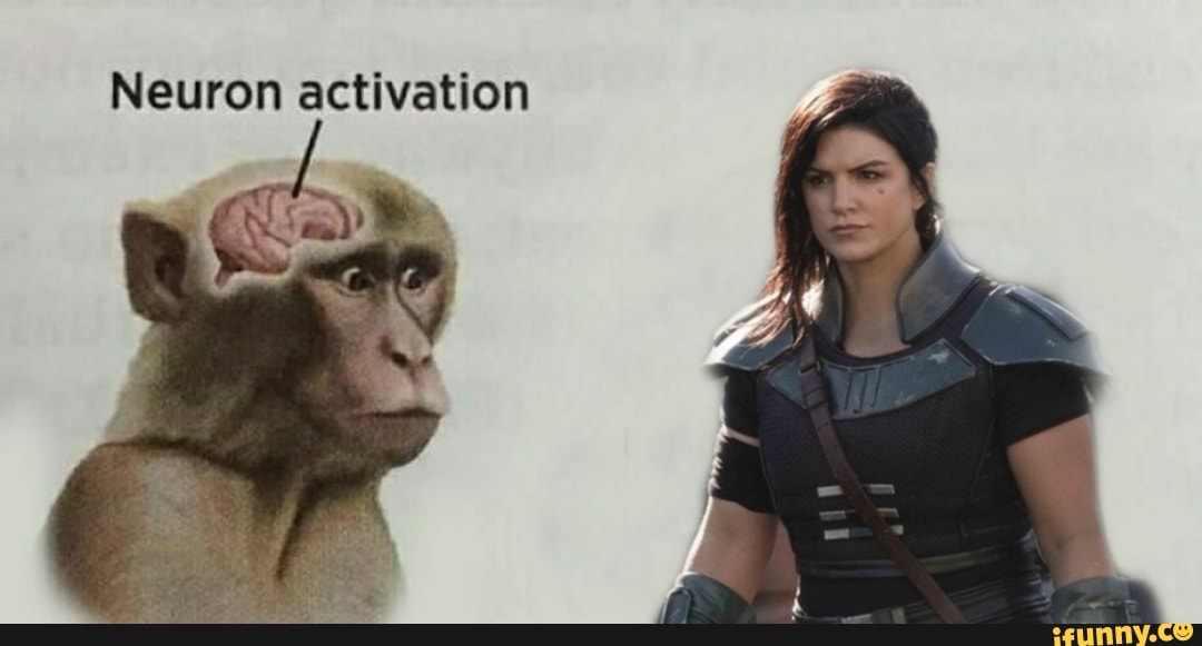 Neuron activation - iFunny