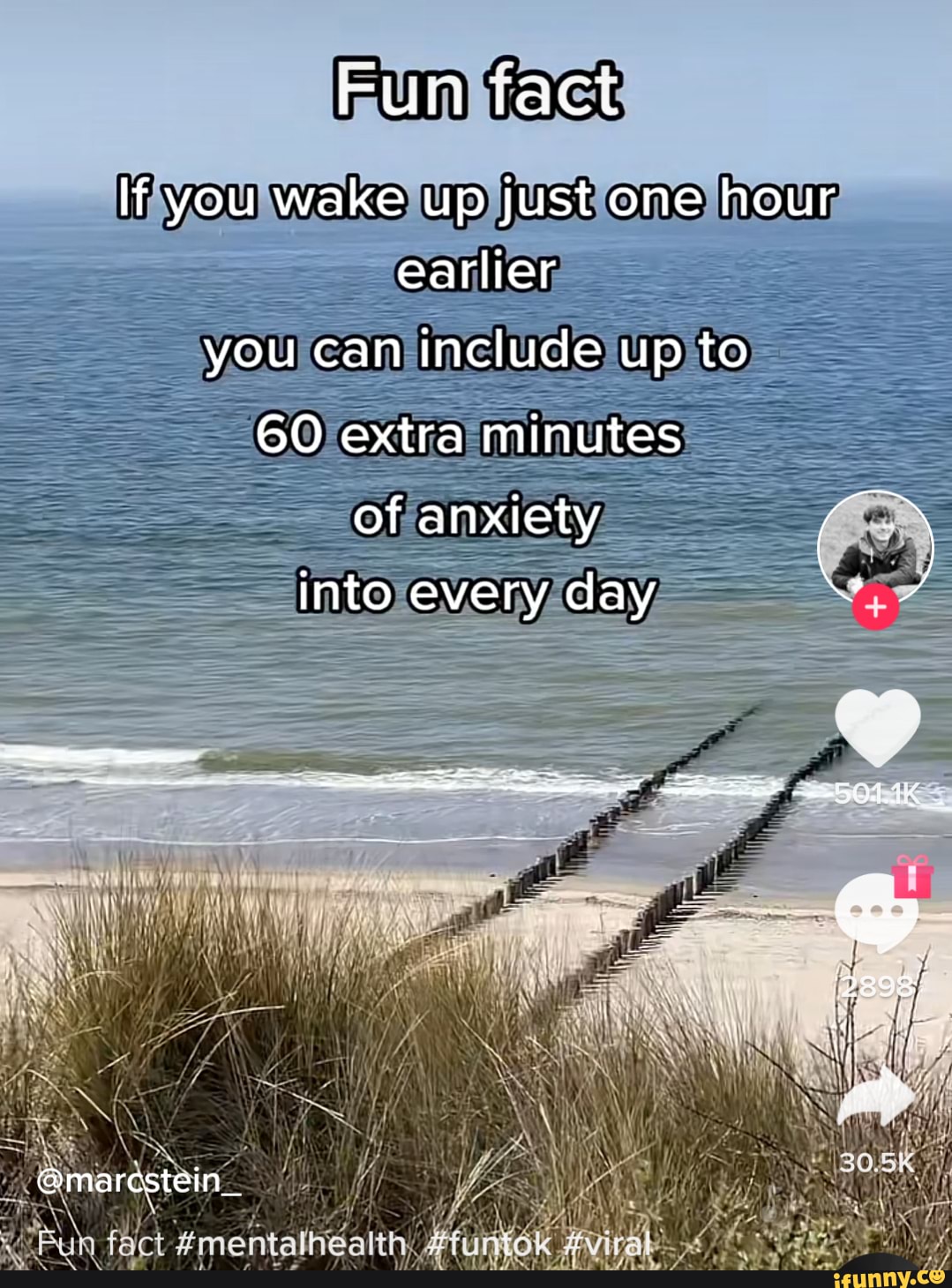 Shadowpaw craned his neck over his back, straining to groom the hard-to ...