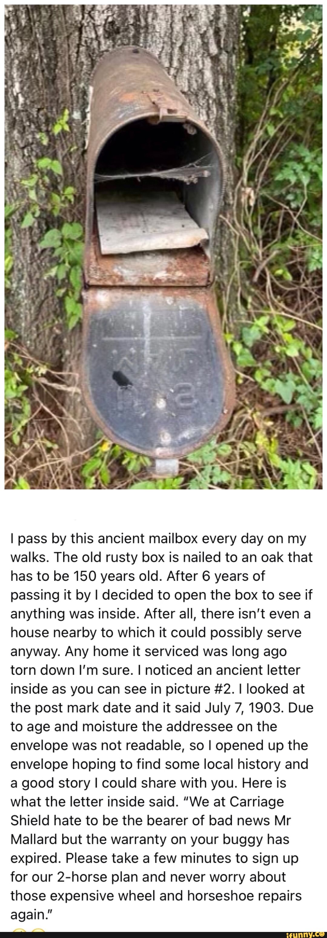 I pass by this ancient mailbox every day on my walks. The old rusty box ...