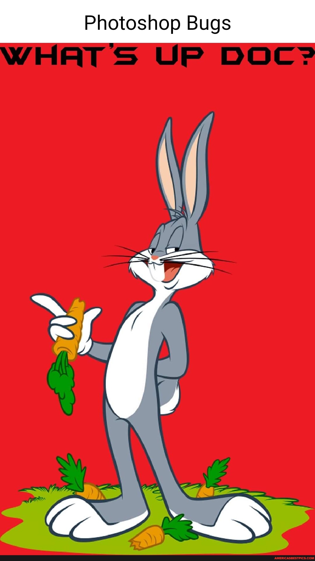 Photoshop Bugs WHATS UP DOC? - America’s best pics and videos