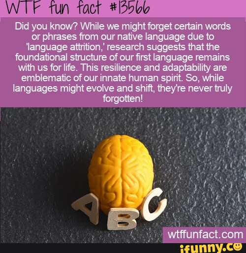 Attrition memes. Best Collection of funny Attrition pictures on iFunny