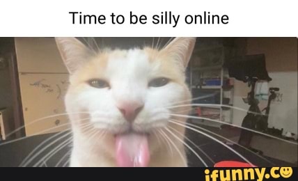 Time to be silly online - iFunny