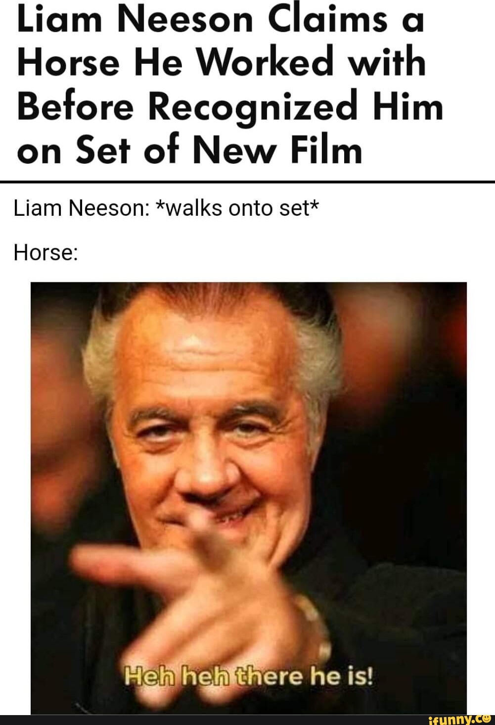 Liam Neeson Claims a Horse He Worked with Before Recognized Him on Set ...