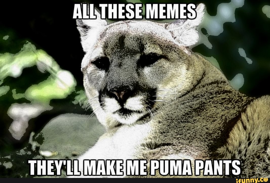 All MEMES," AKE ME PUMA PANTS THEY'LM - iFunny