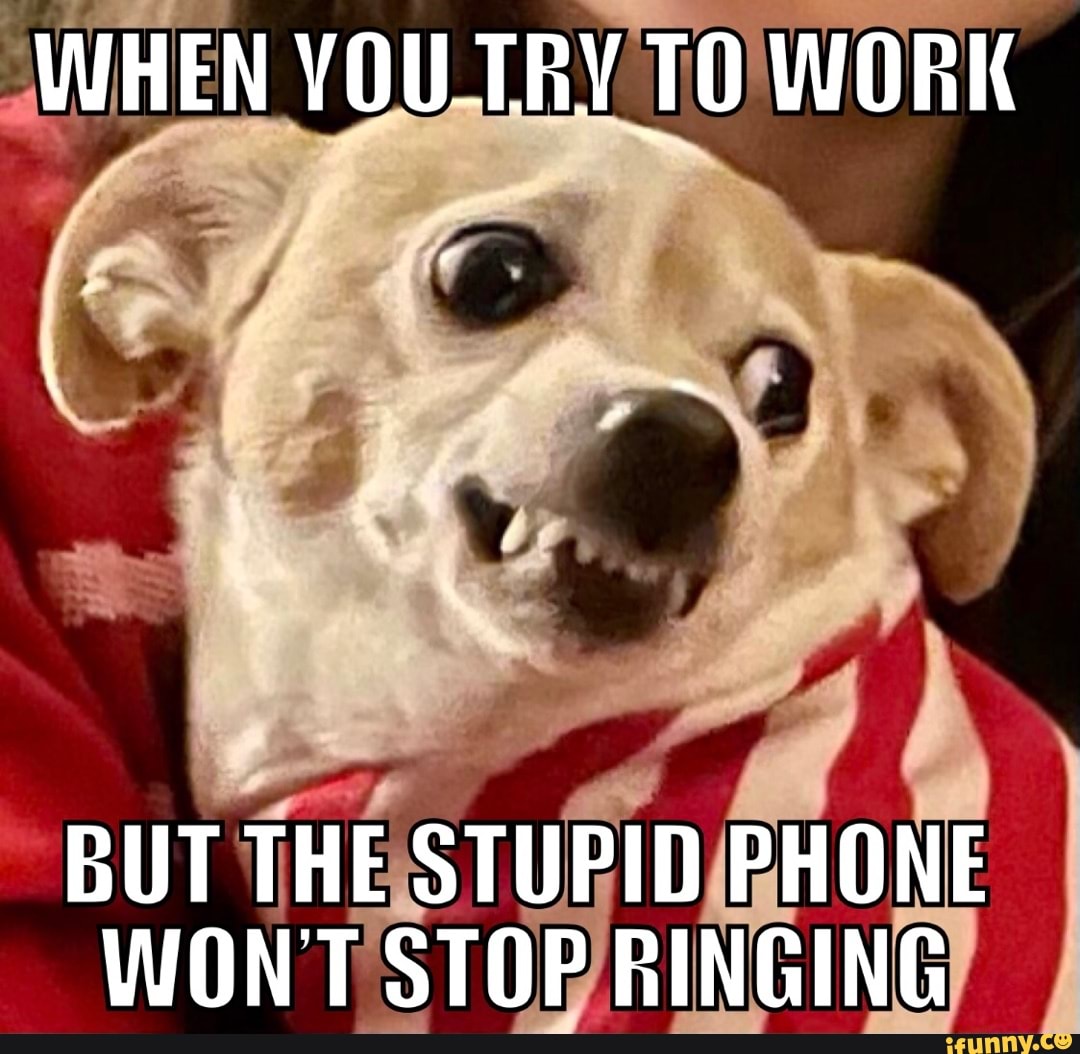 Stop Ringing Meme