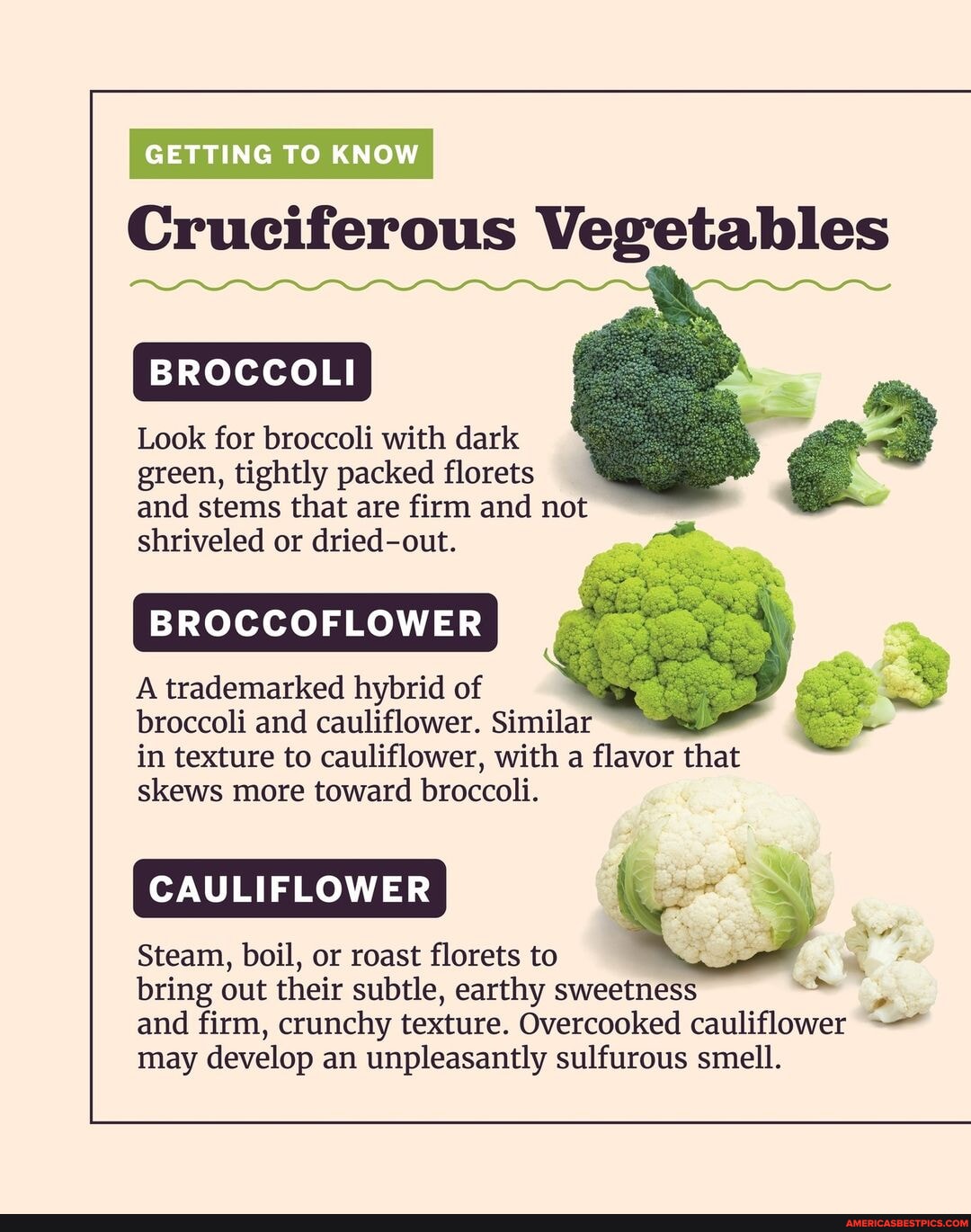 We break down different types of cruciferous vegetables and their ...