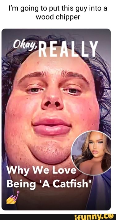 Catfish memes. Best Collection of funny Catfish pictures on iFunny