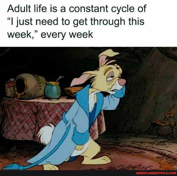 Adult life is a constant cycle of "I just need to get through this week ...