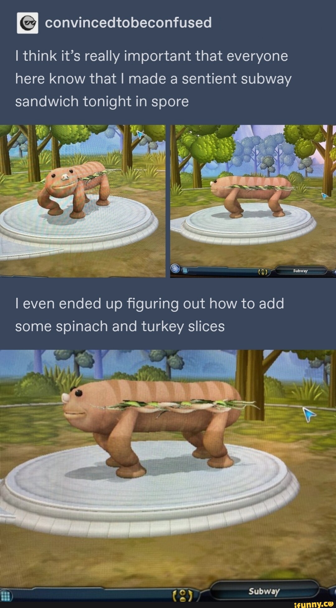 I think it's really important that everyone here know that I made a sentient subway sandwich ...