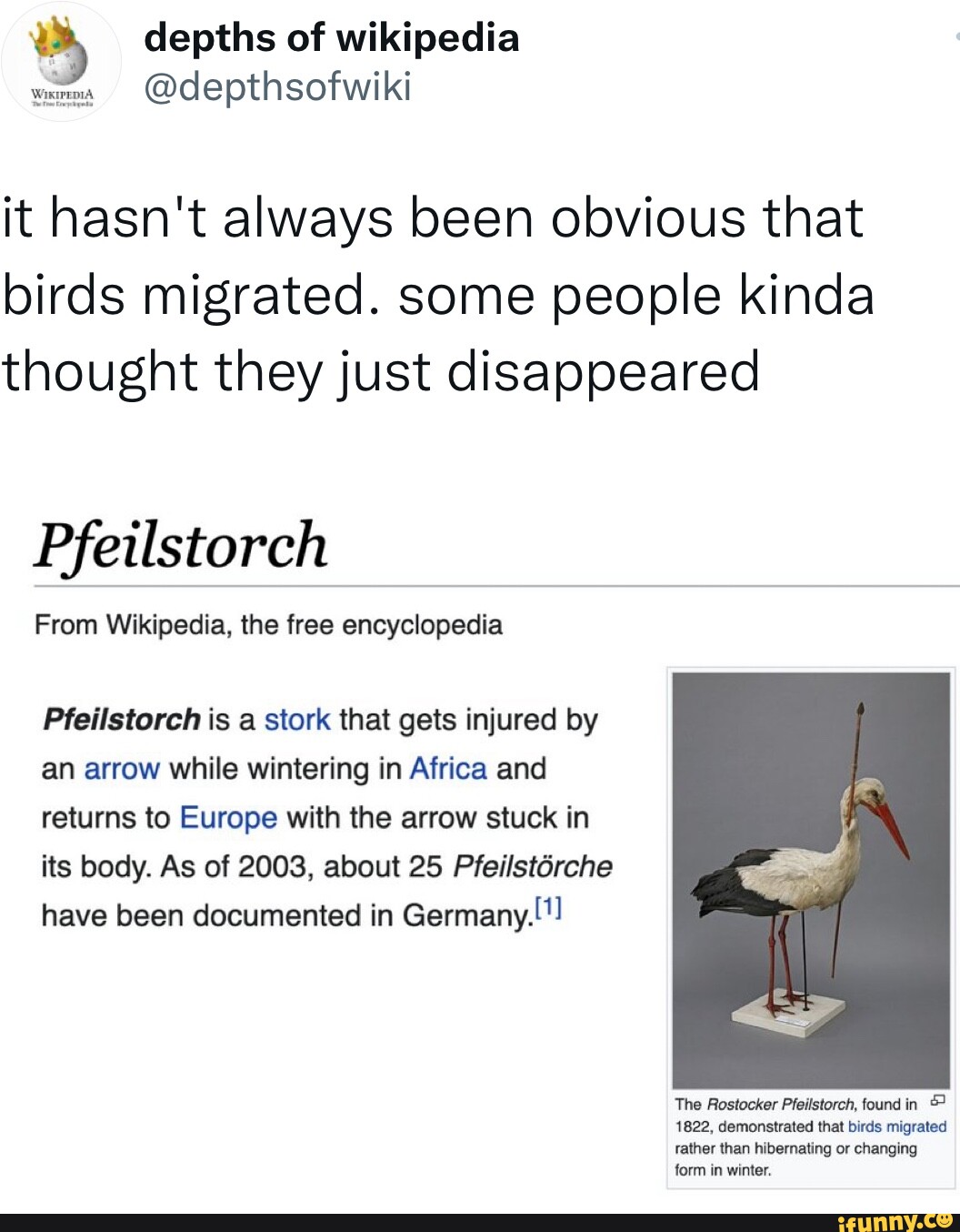 Pfeilstorch memes. Best Collection of funny Pfeilstorch pictures on iFunny