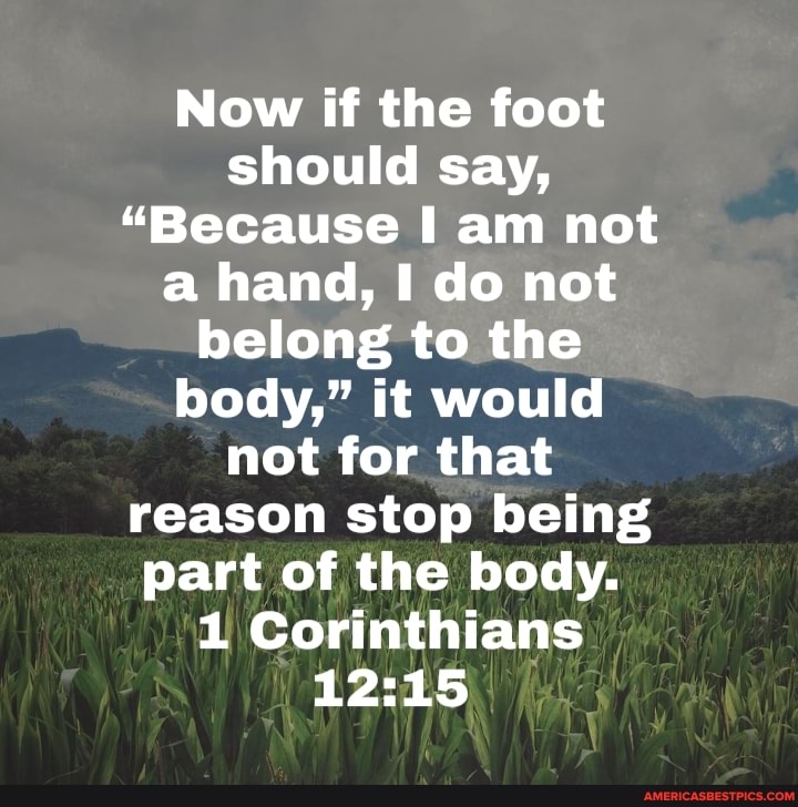 Now if the foot should say, "Because I am not a hand, do not belong to ...