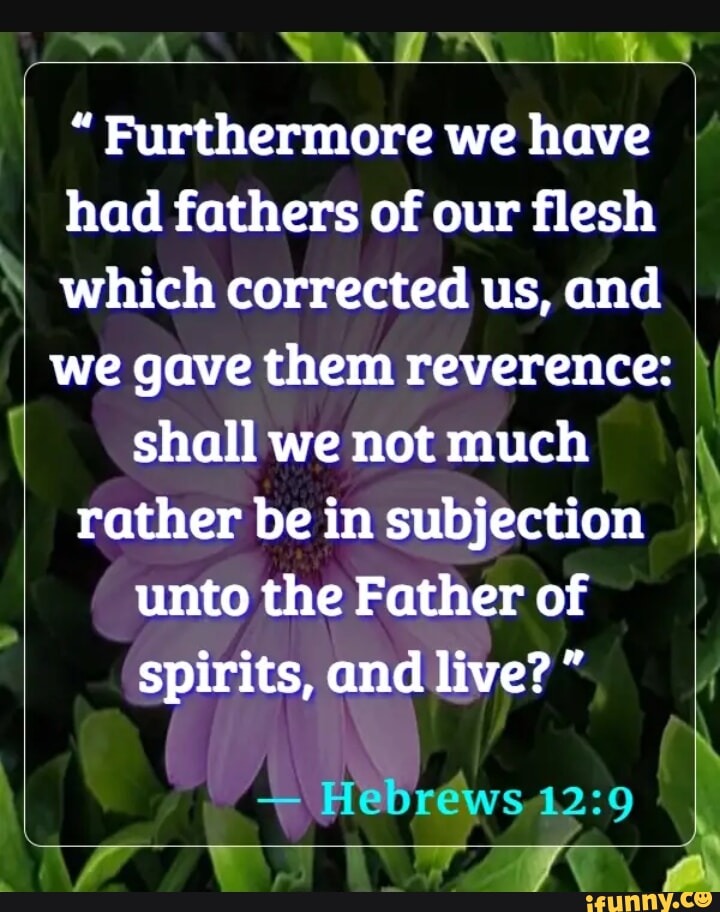 Furthermore memes. Best Collection of funny Furthermore pictures on iFunny