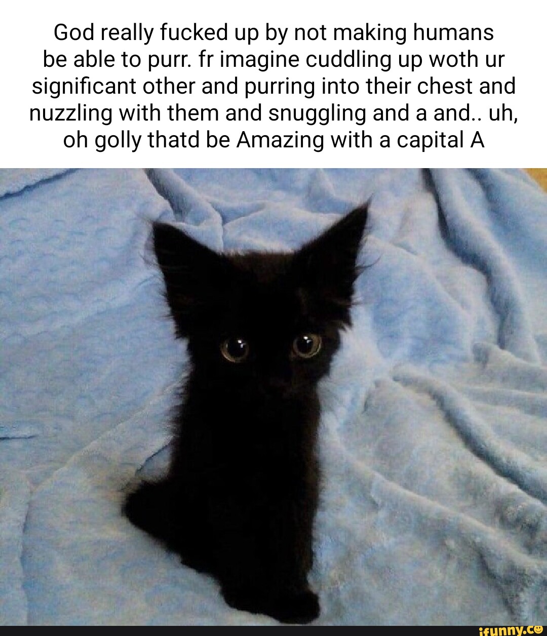 Meeeow memes. Best Collection of funny Meeeow pictures on iFunny