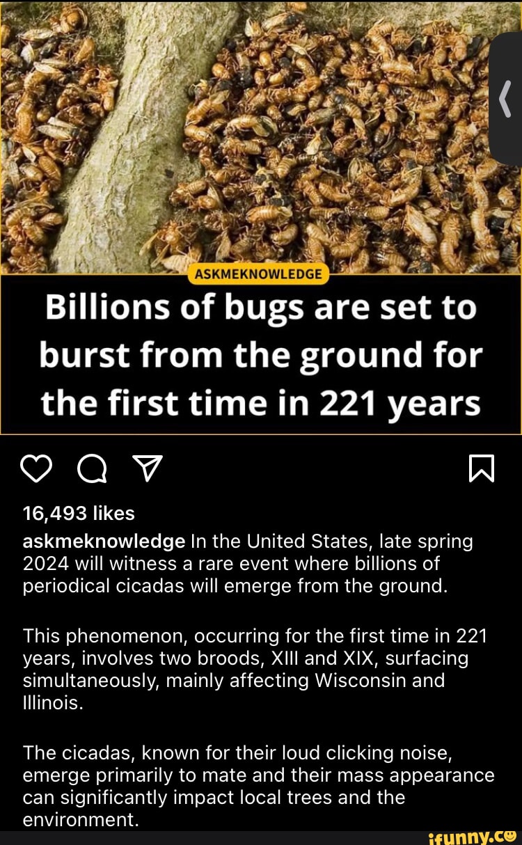 Video memes CgLa3QmOA by Ernest_P_Worrell - iFunny