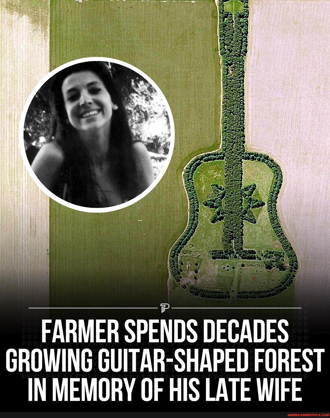 Swipe to see the story behind Pedro Martin Ureta who planted a huge ...