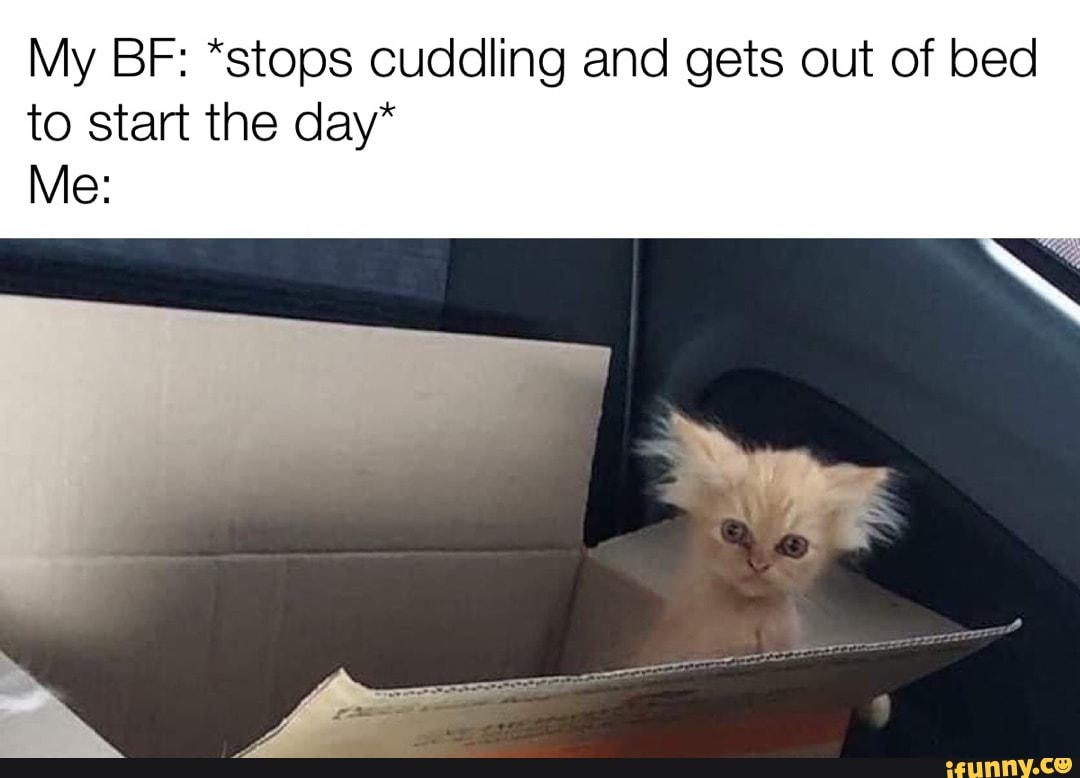 Cuddling memes. Best Collection of funny Cuddling pictures on iFunny