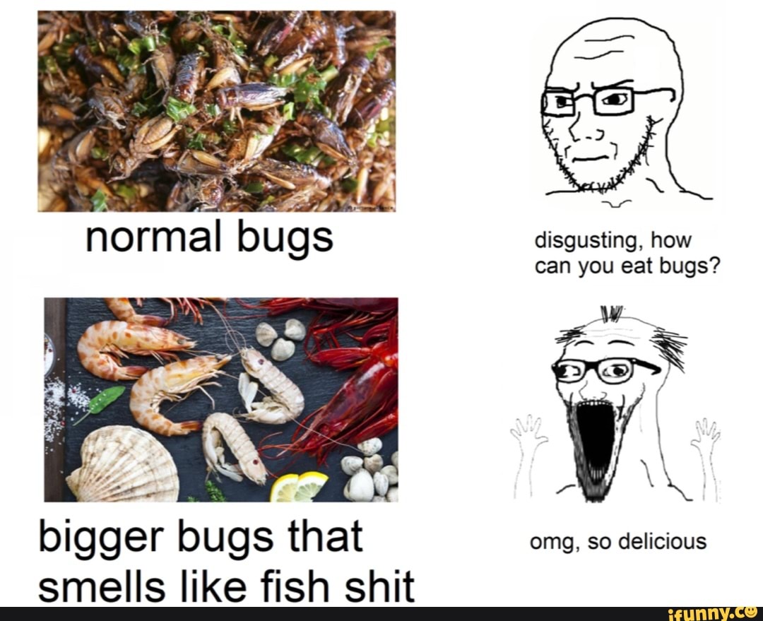 We normal bugs disgusting, how can you eat bugs? bigger bugs that omg ...