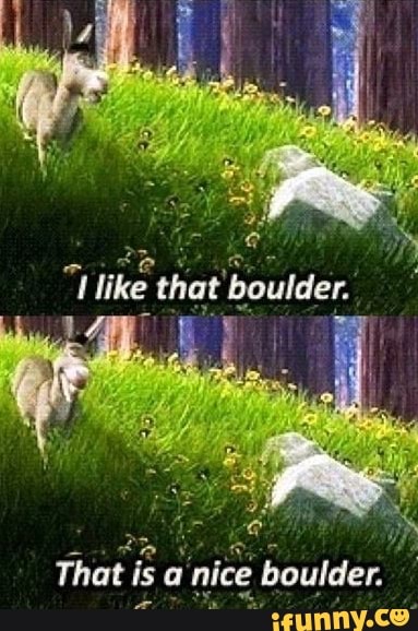 "like that boulder. That is a nice boulder. - iFunny