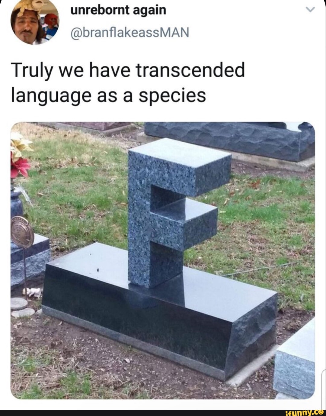 Truly we have transcended language as a species - iFunny