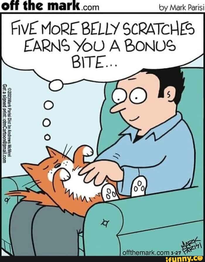 Mark memes. Best Collection of funny Mark pictures on iFunny