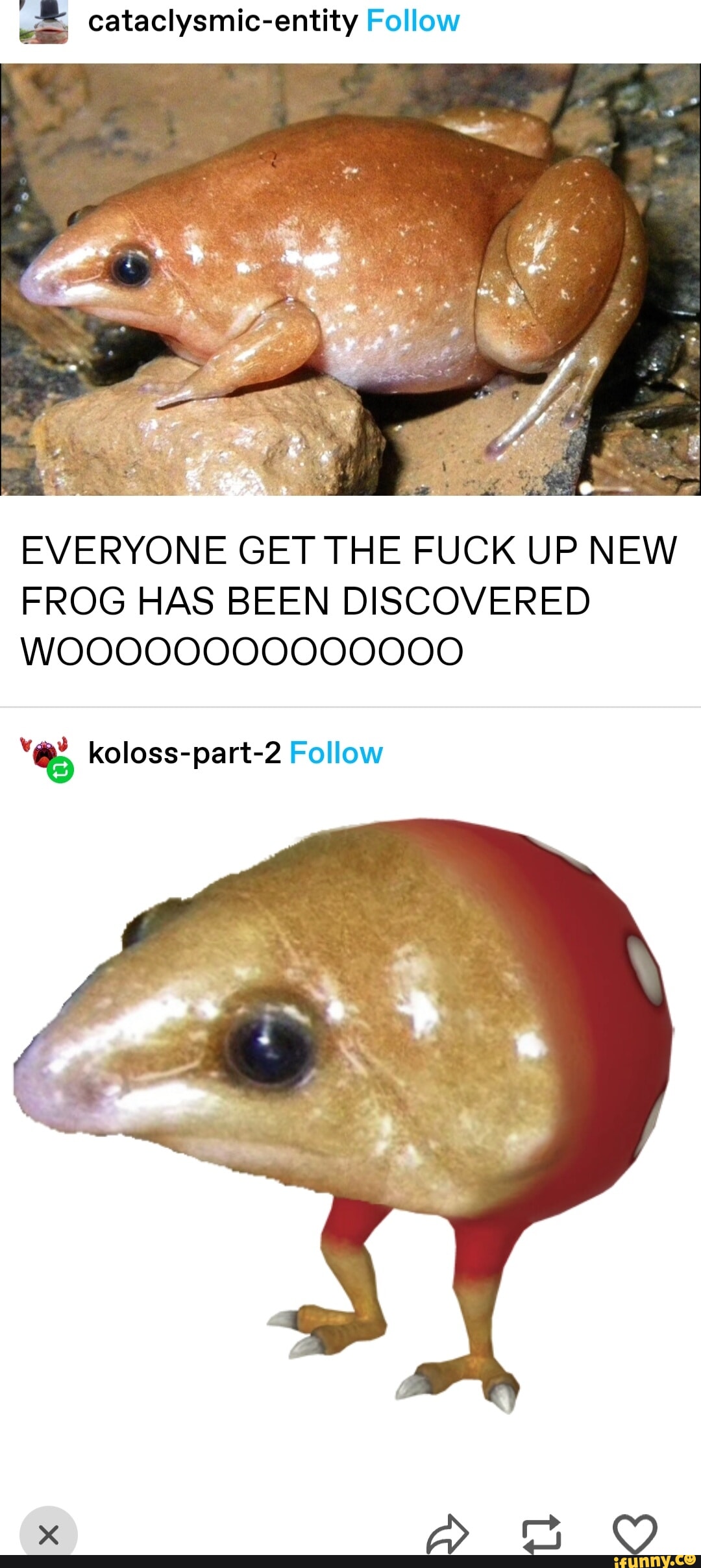 Cataclysmic-entity Follow EVERYONE GET THE FUCK UP NEW FROG HAS BEEN ...