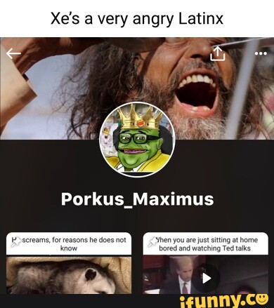 Xe's very angry Latinx Porkus_Maximus - iFunny
