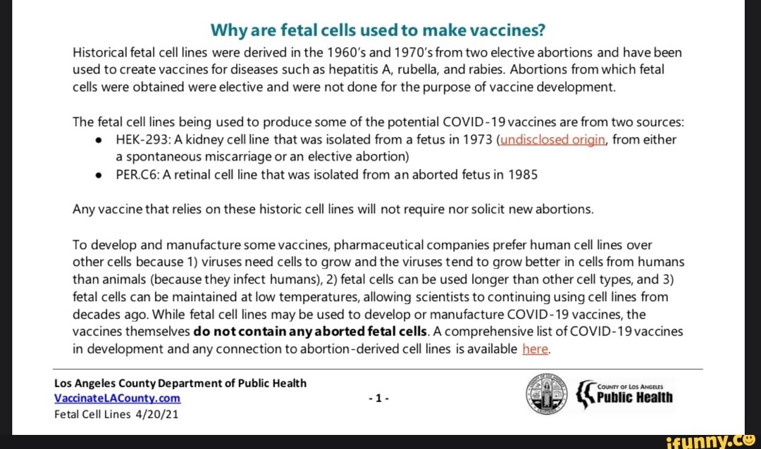 why-are-fetal-cells-used-to-make-vaccines-historical-fetal-cell-lines