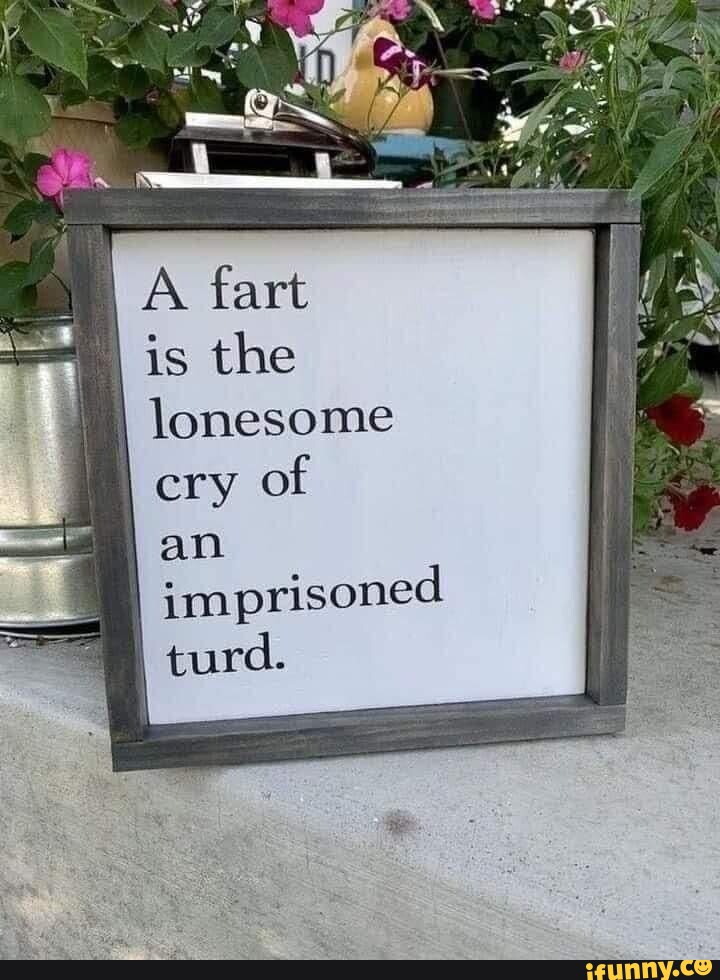 A fart is the lonesome cry of an imprisoned turd. - iFunny