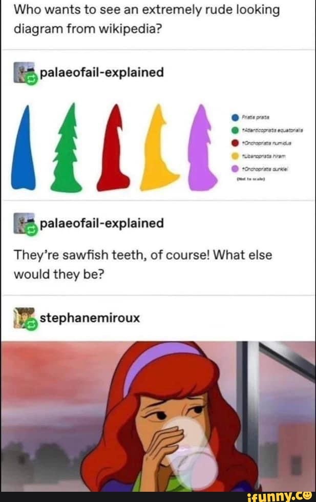 Sawfish memes. Best Collection of funny Sawfish pictures on iFunny