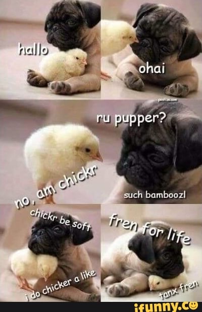 Ohai memes. Best Collection of funny Ohai pictures on iFunny