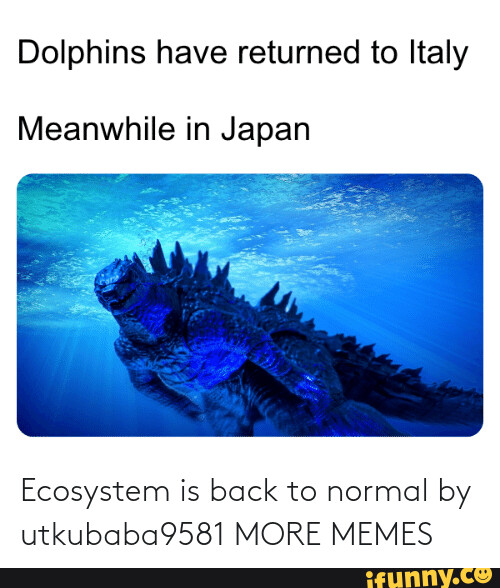 Ecosystem memes. Best Collection of funny Ecosystem pictures on iFunny