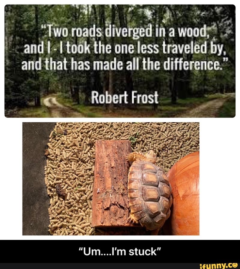 Robert Frost Memes