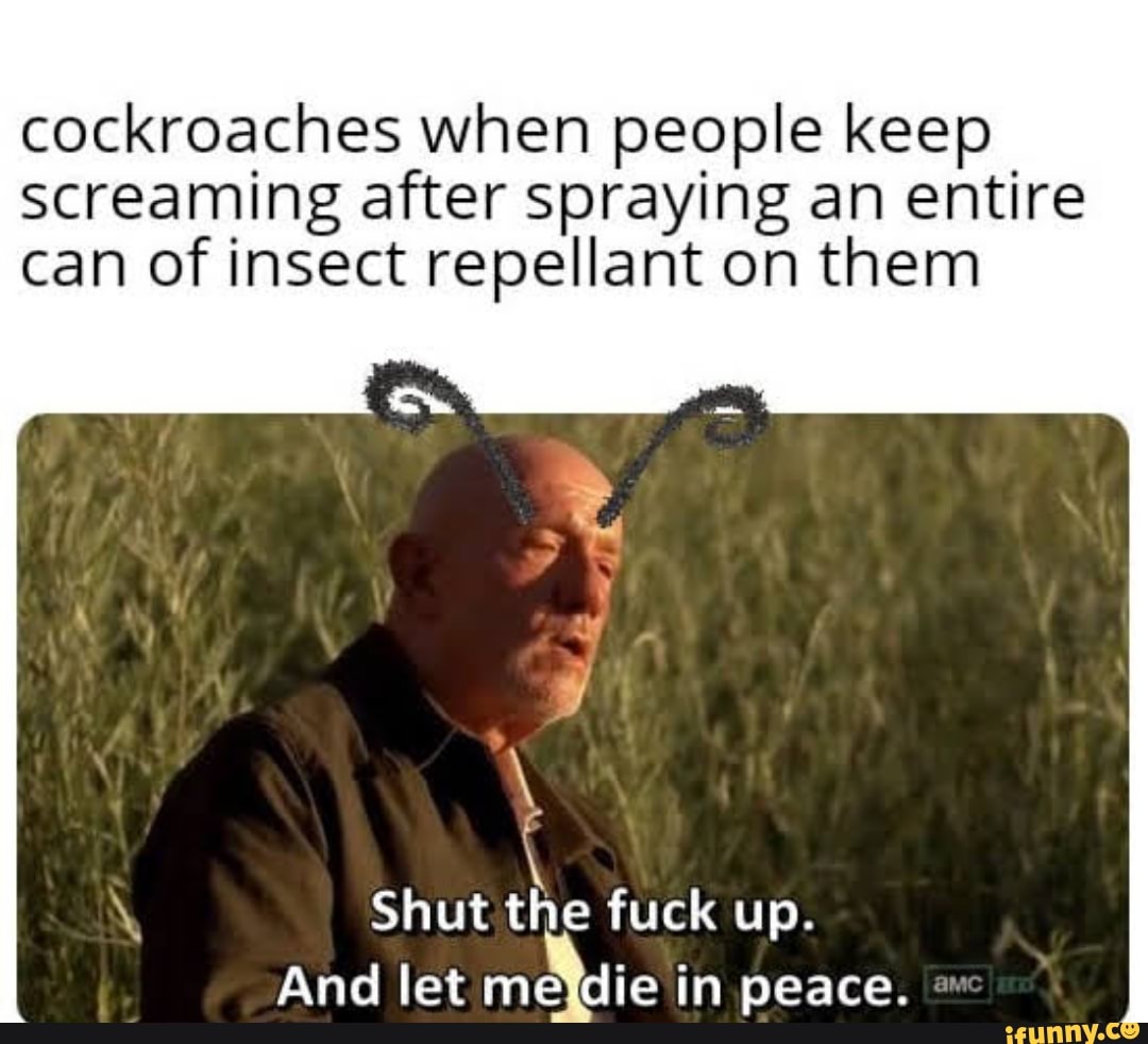 Cockroaches when people keep screaming after spraying an entire can of ...