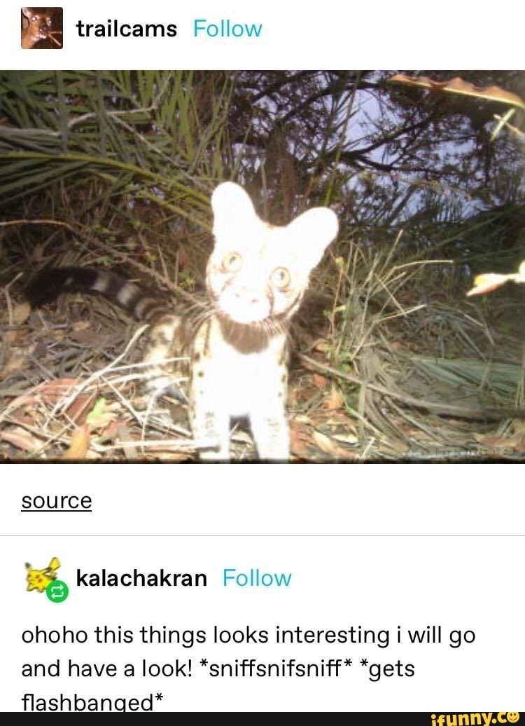 Interesting Things To Look At