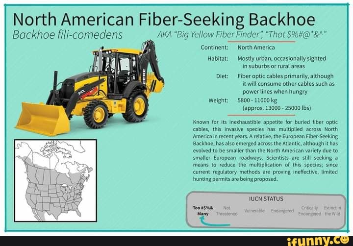 North American Fiber- Seeking Backhoe Backhoe filiccomedens AKA "Big ...