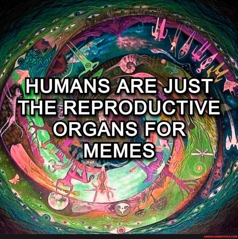 N/A - HUMANS ARE JUST THE REPRODUCTIVE ORGANS FOR MEMES - America’s ...