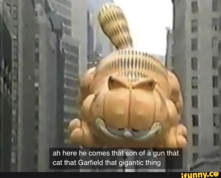 Ad s ah here he comes that son of a gun that cat that Garfield that ...