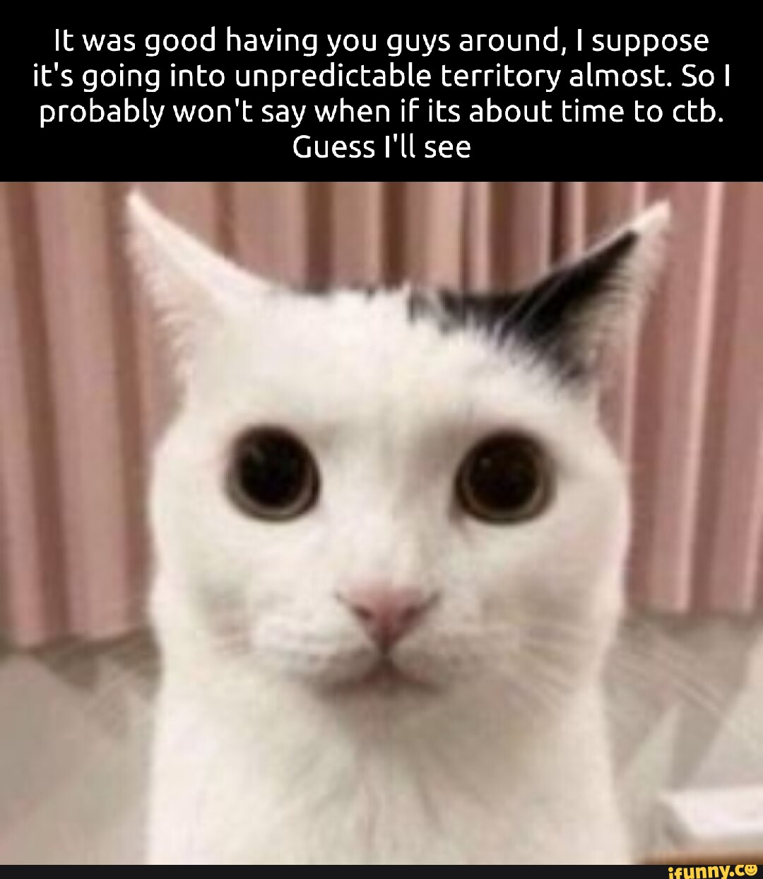 Ctb memes. Best Collection of funny Ctb pictures on iFunny