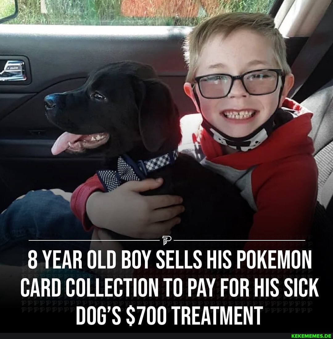 SSS 8 YEAR OLD BOY SELLS HIS POKEMON CARD COLLECTION TO PAY FOR HIS SICK DOG S 700 TREATMENT Keke sss-8-year-old-boy-sells-his-pokemon-card-collection-to-pay-for-his-sick-dog-s-700-treatment-keke