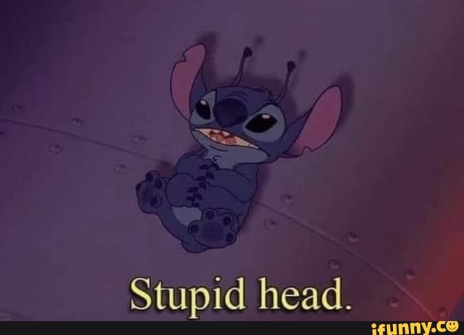 Stupid head. - iFunny Brazil