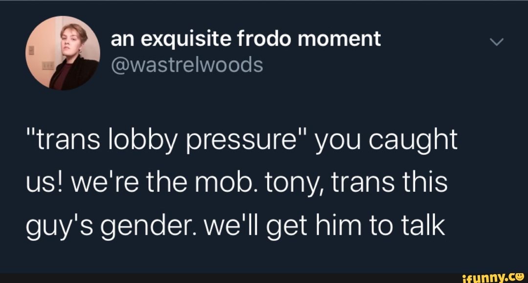 "trans lobby pressure" you caught us! we're the mob. tony, trans this ...