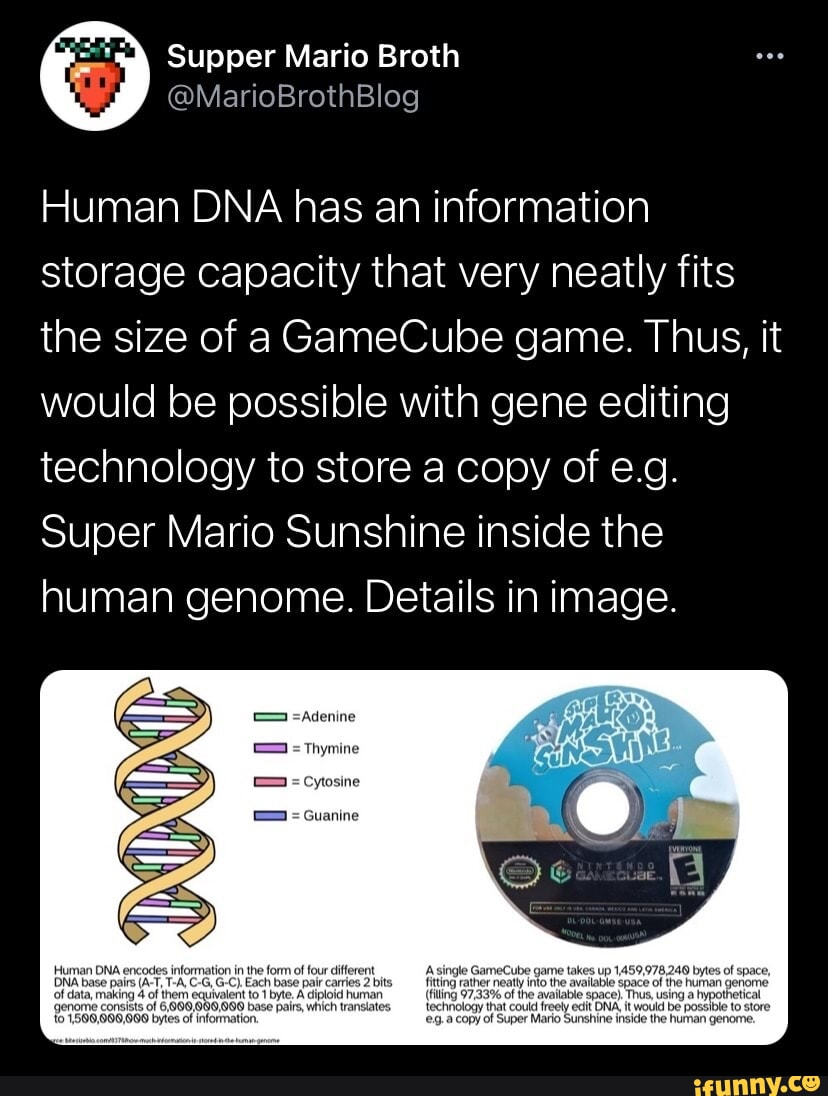 Supper Mario Broth Human DNA has an information storage capacity that ...