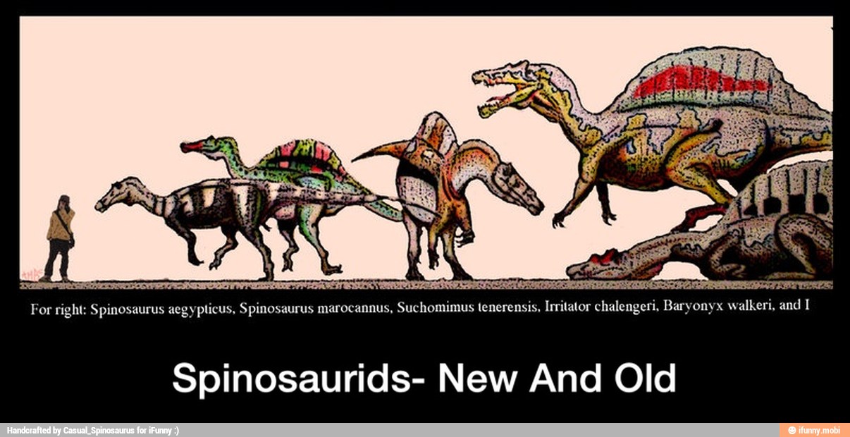 Spinosaurids memes. Best Collection of funny Spinosaurids pictures on ...